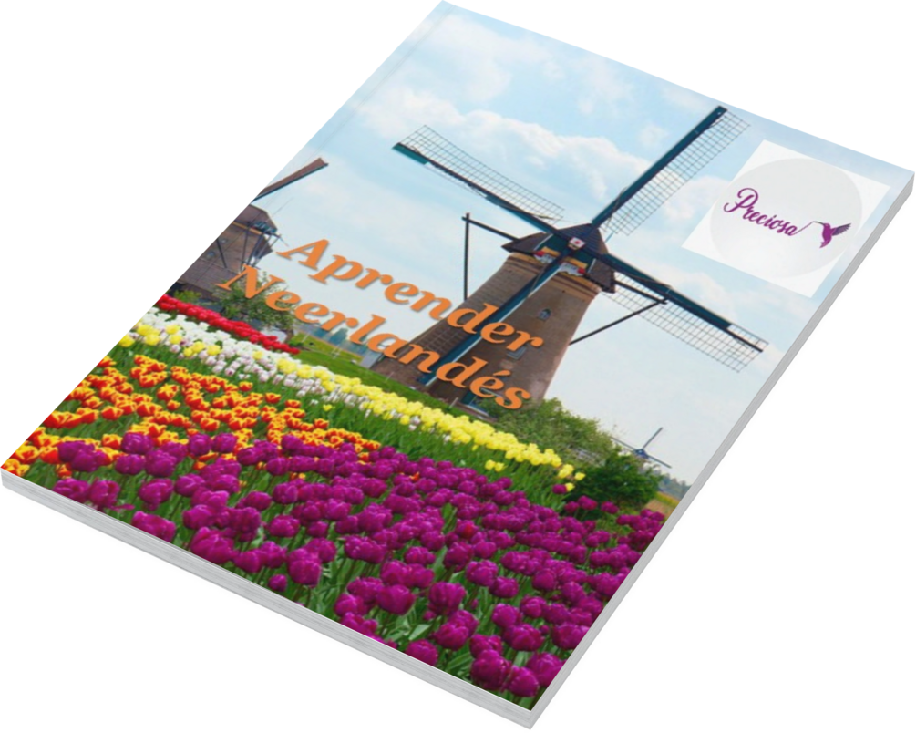Aprender Neerlandés Nivel 0-B1