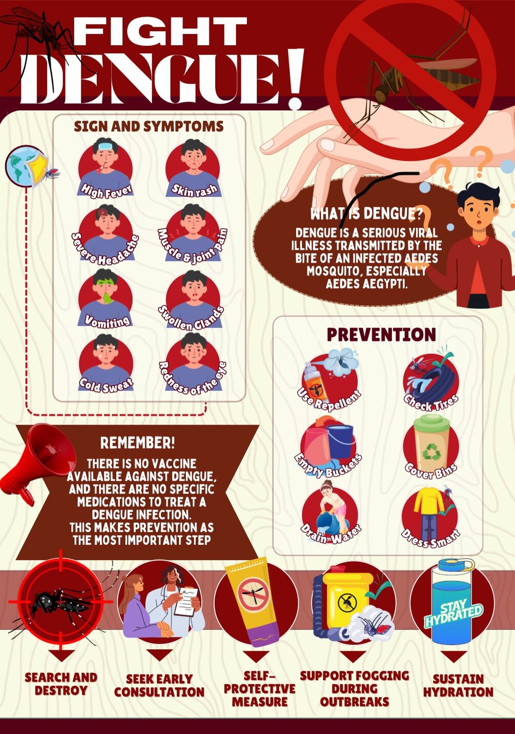 Infographic DENGUE template