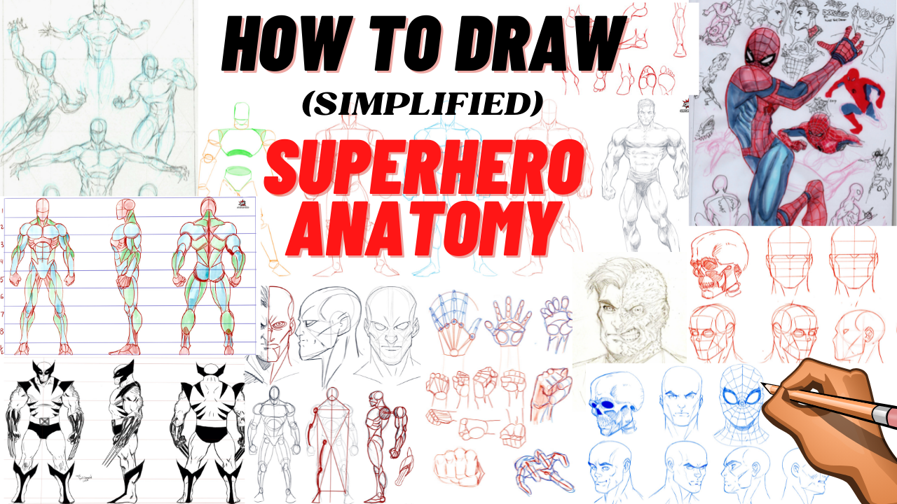 5 Days Only! Learn to Draw Comic Superhero Anatomy for $18 off! - Mike ...