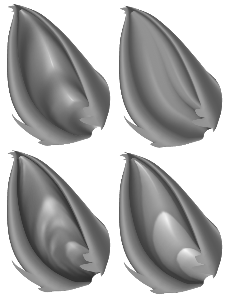 Ear Texture (Square UV)