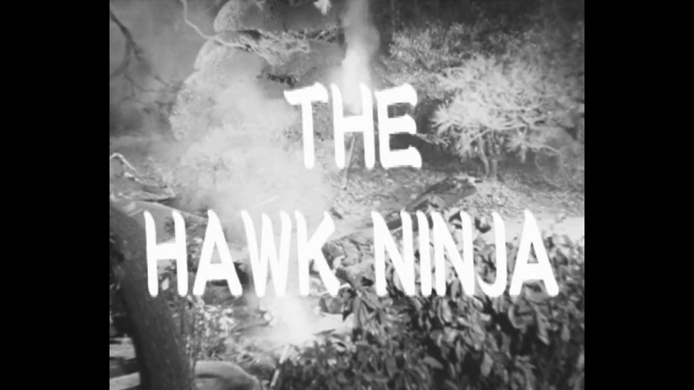 The Samurai – Hawk Ninja (Series 4, Episode 8)