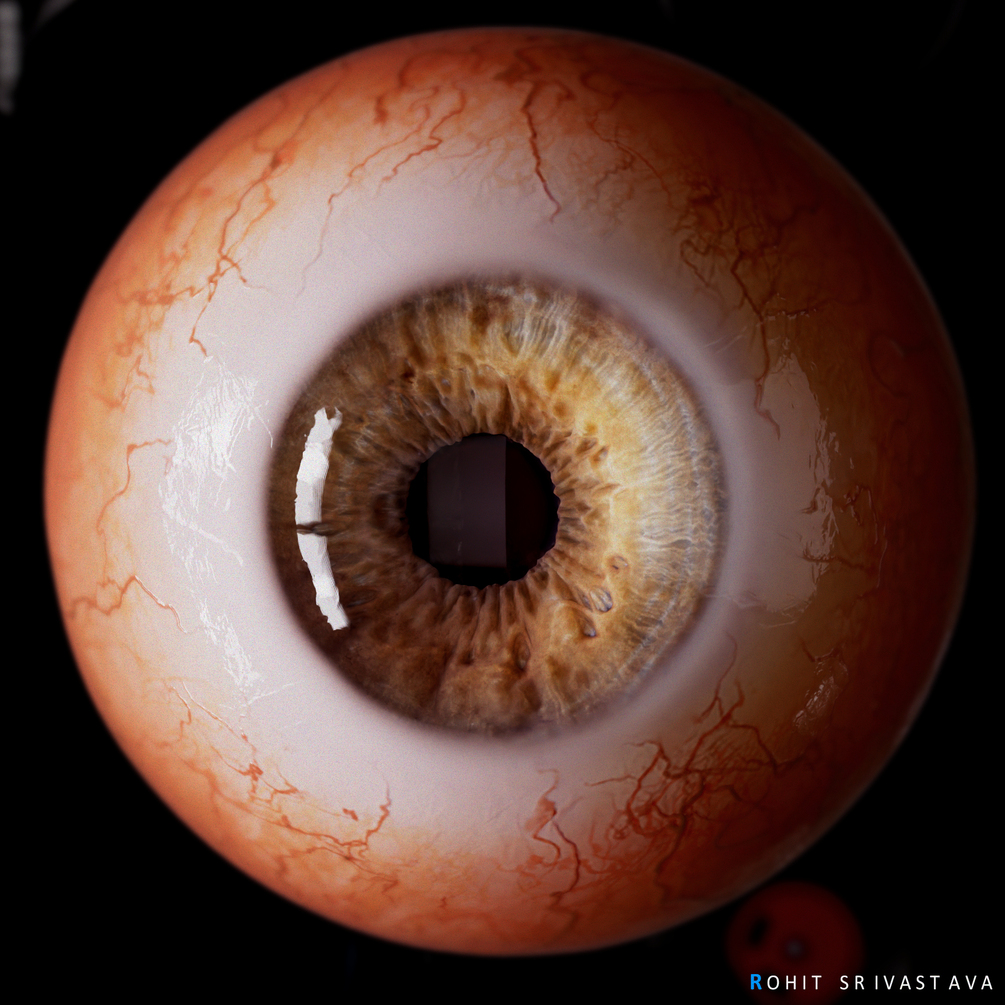 3D Human Eye