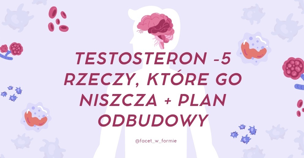 Sekret testosteronu – poradnik dla mężczyzn