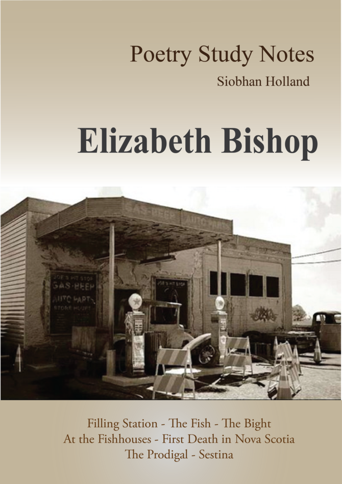 Poetry Study Notes - Elizabeth Bishop