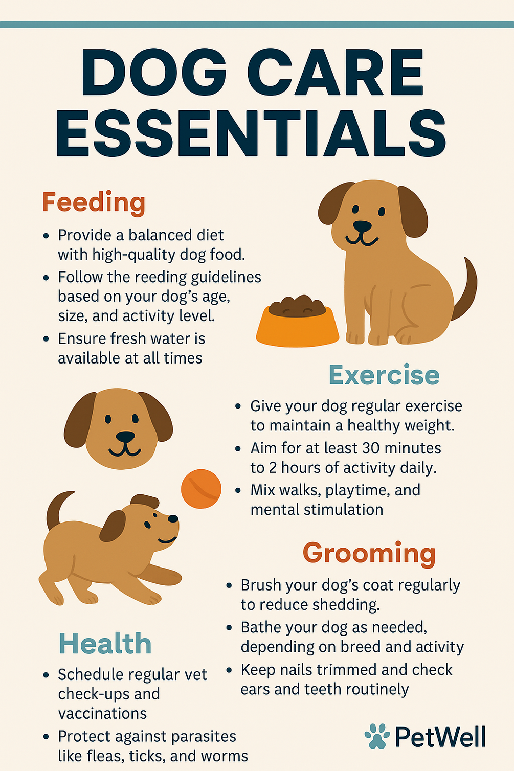 Dog Care Essentials for New Owners