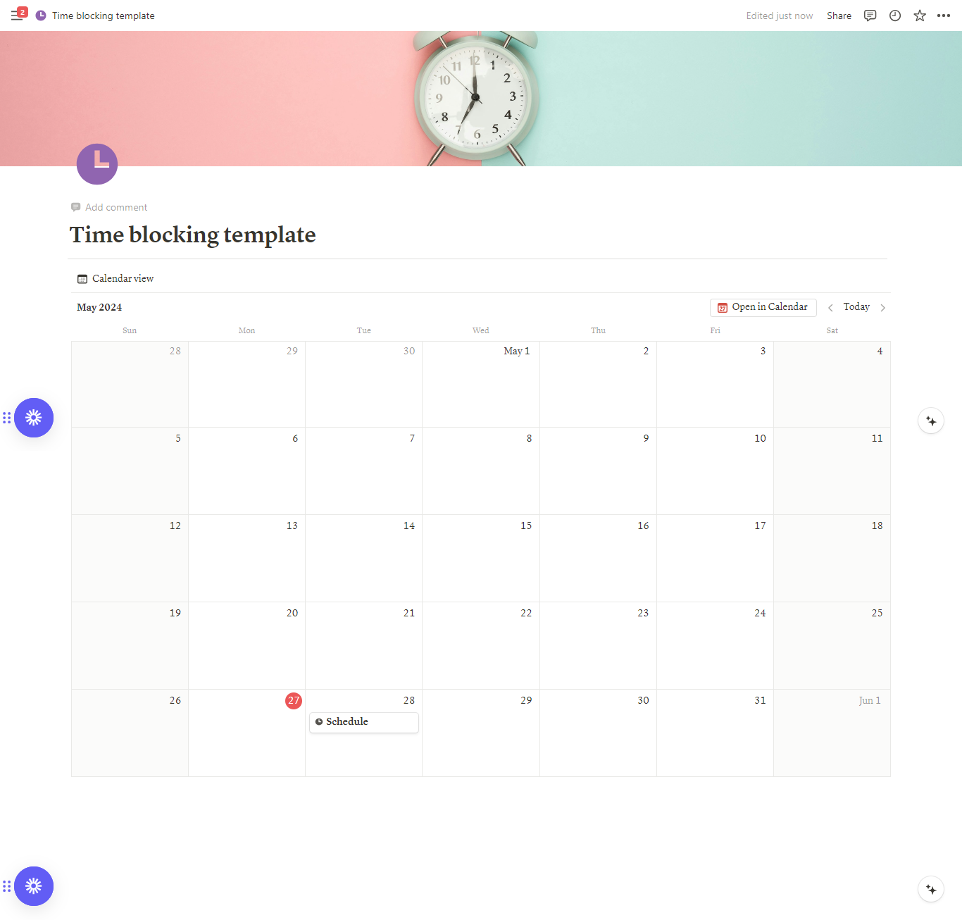 Time Blocking Daily Tracker Notion Template