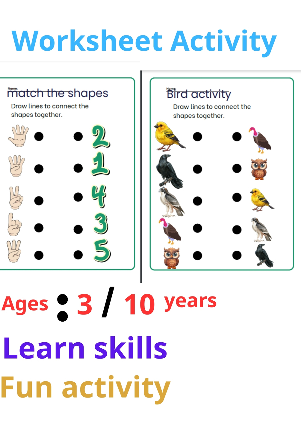 Worksheet Activity-Matching and animals