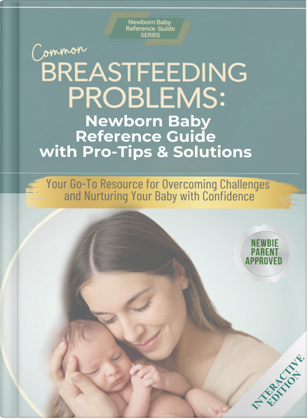 Common Breastfeeding Problems: Newborn Baby Reference Guide with Pro ...