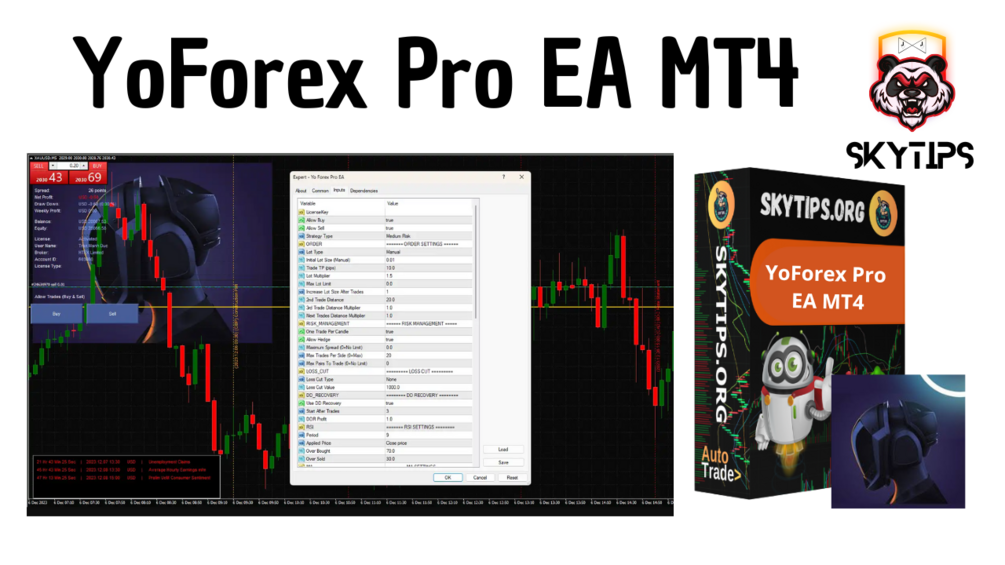 YoForex Pro EA MT4