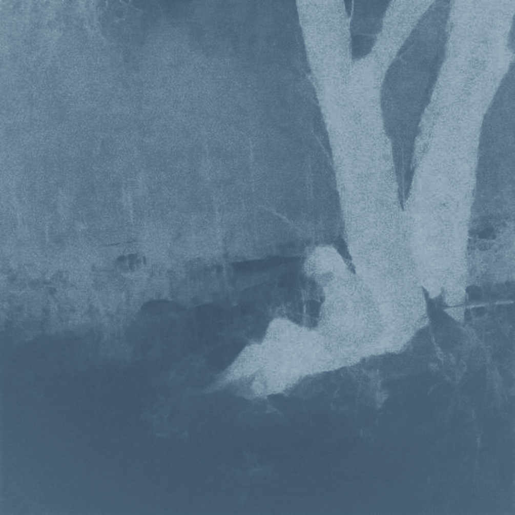 0T #333 - fad3d
