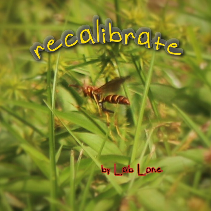 recalibrate (Producer Cut Version)