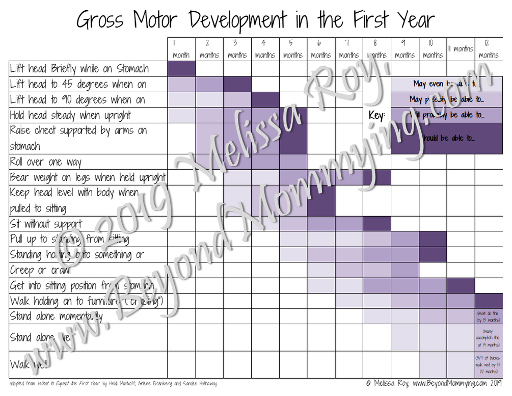 Infant Gross Motor Development Chart