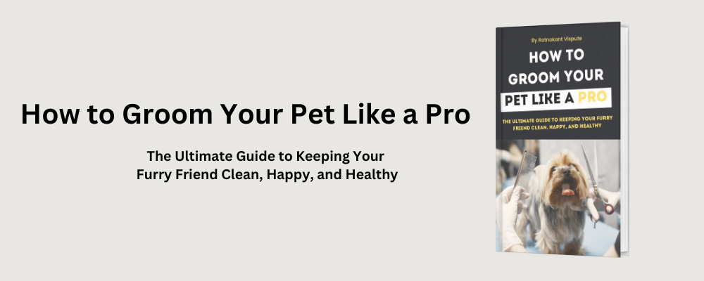 How to Groom Your Pet Like a Pro