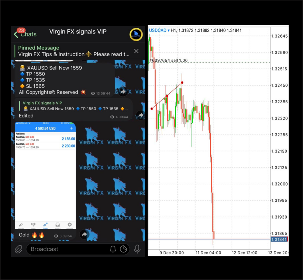 3 Months VIP membership