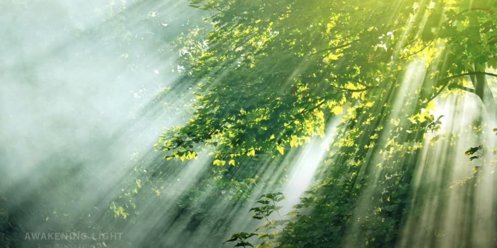 Awakening Light