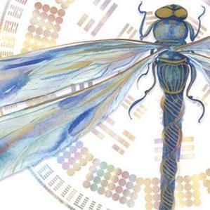 Gene Key 51 Transmission: From Agitation to Creative Initiative