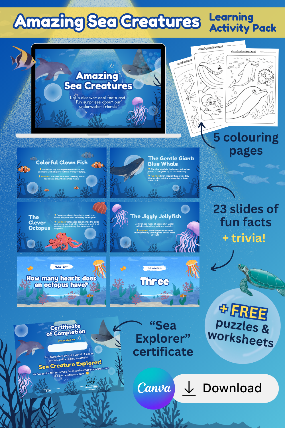 Dive Into Fun: Amazing Sea Creatures Activity Pack