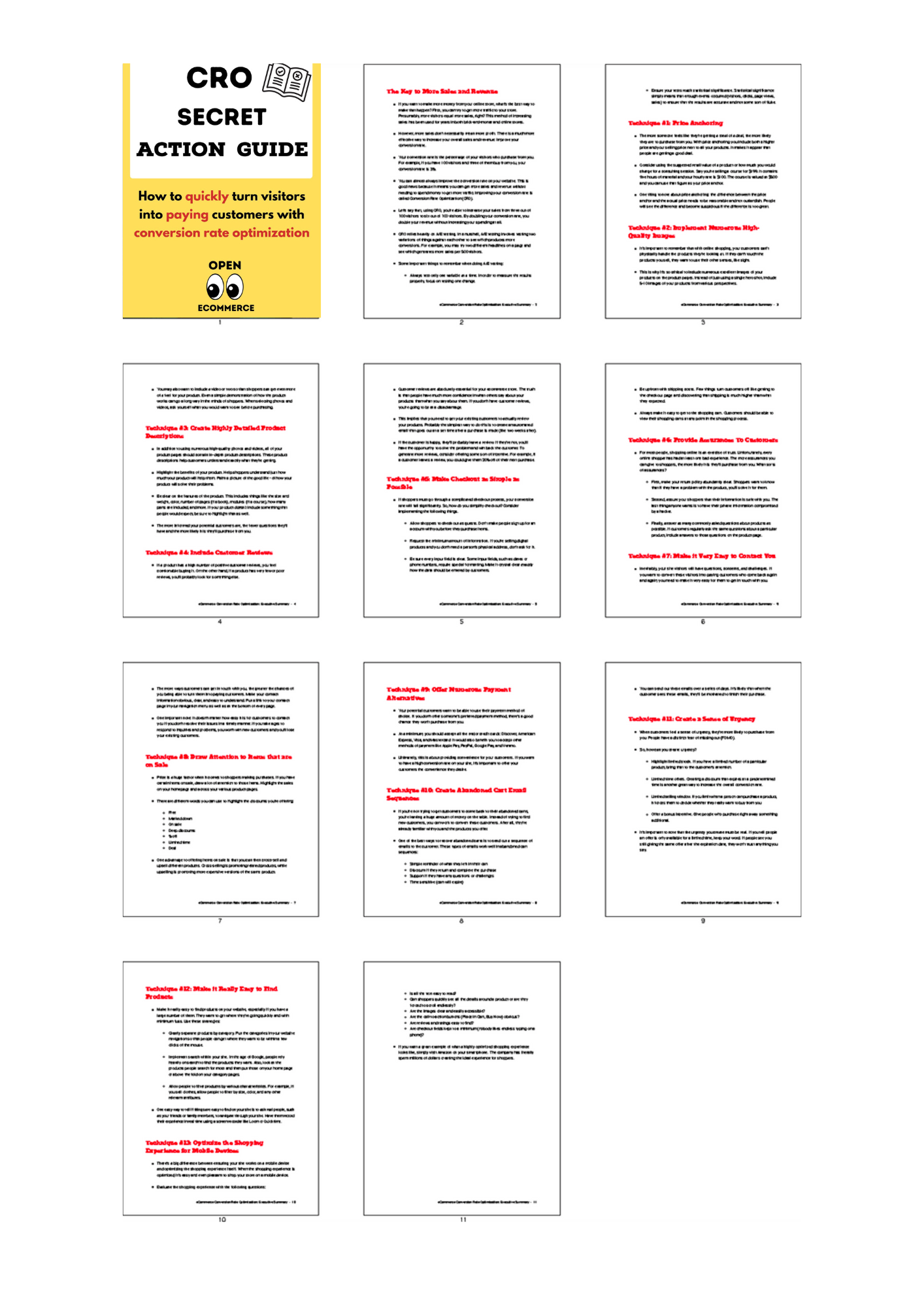 CRO SECRETS Bundle : Dropshipping and On-line Business (copy)