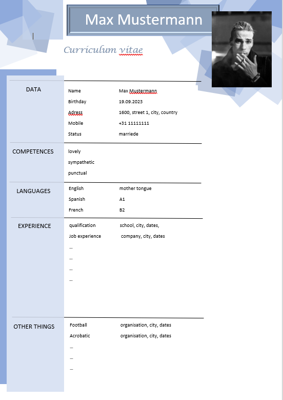 Curriculum vitae CV