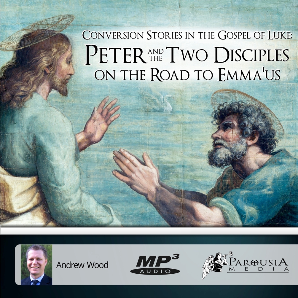 FREE SAMPLE Conversion Stories in the Gospel of Luke; Peter and the Two ...