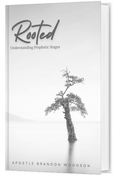Rooted: Understanding Prophetic Stages