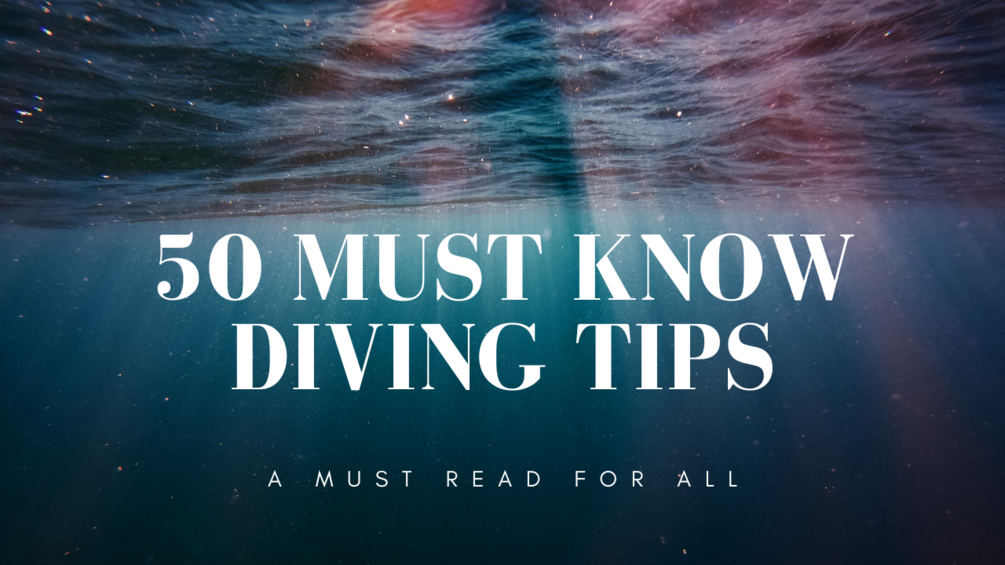50 Must Know Diving Tips