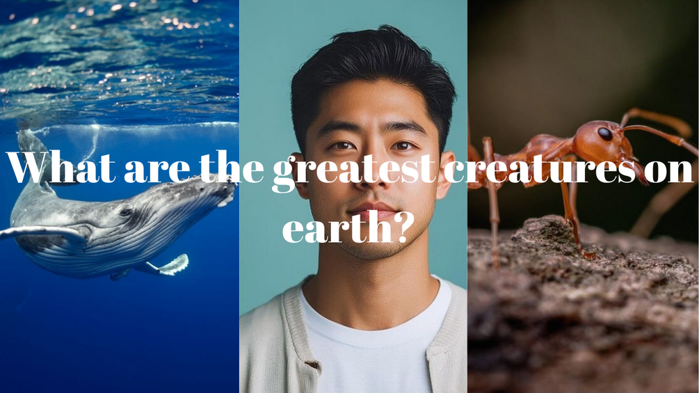 What are the greatest creatures on earth?