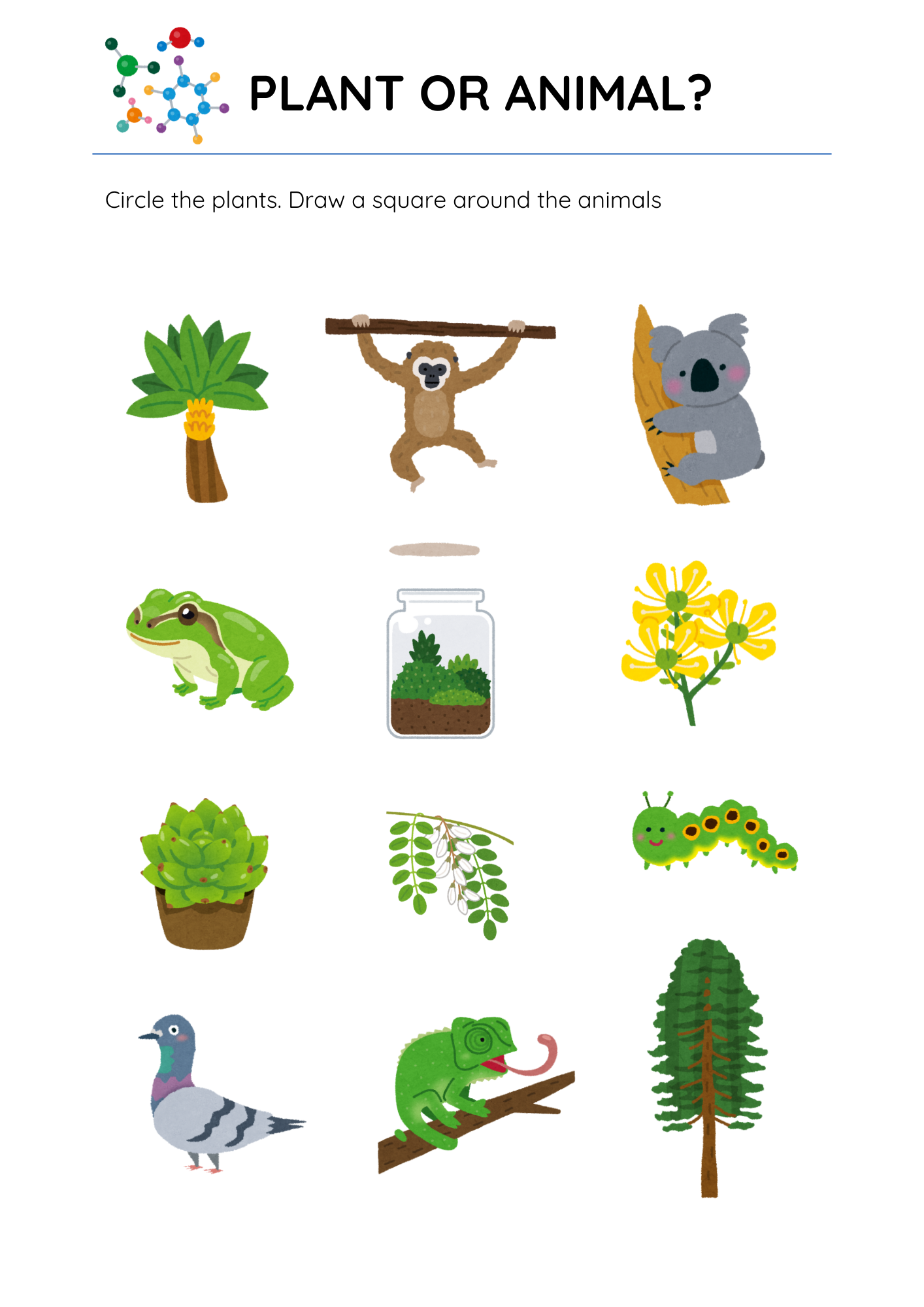 PLANTS AND ANIMALS WORKSHEETS