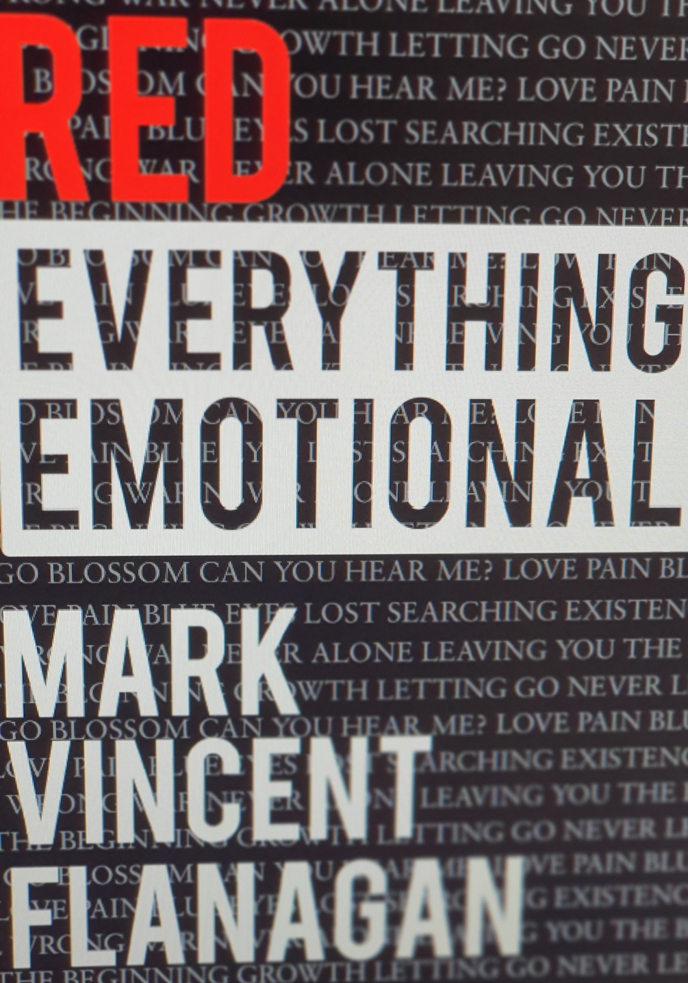 Mark Vincent Flanagan Meditation