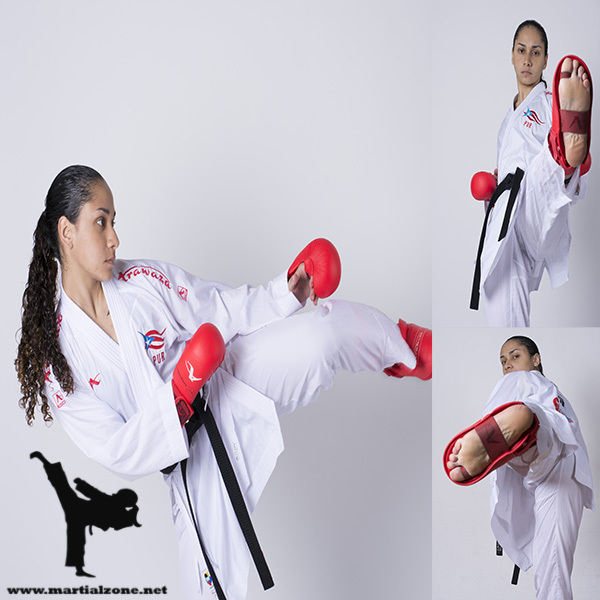 Real Karate Moves