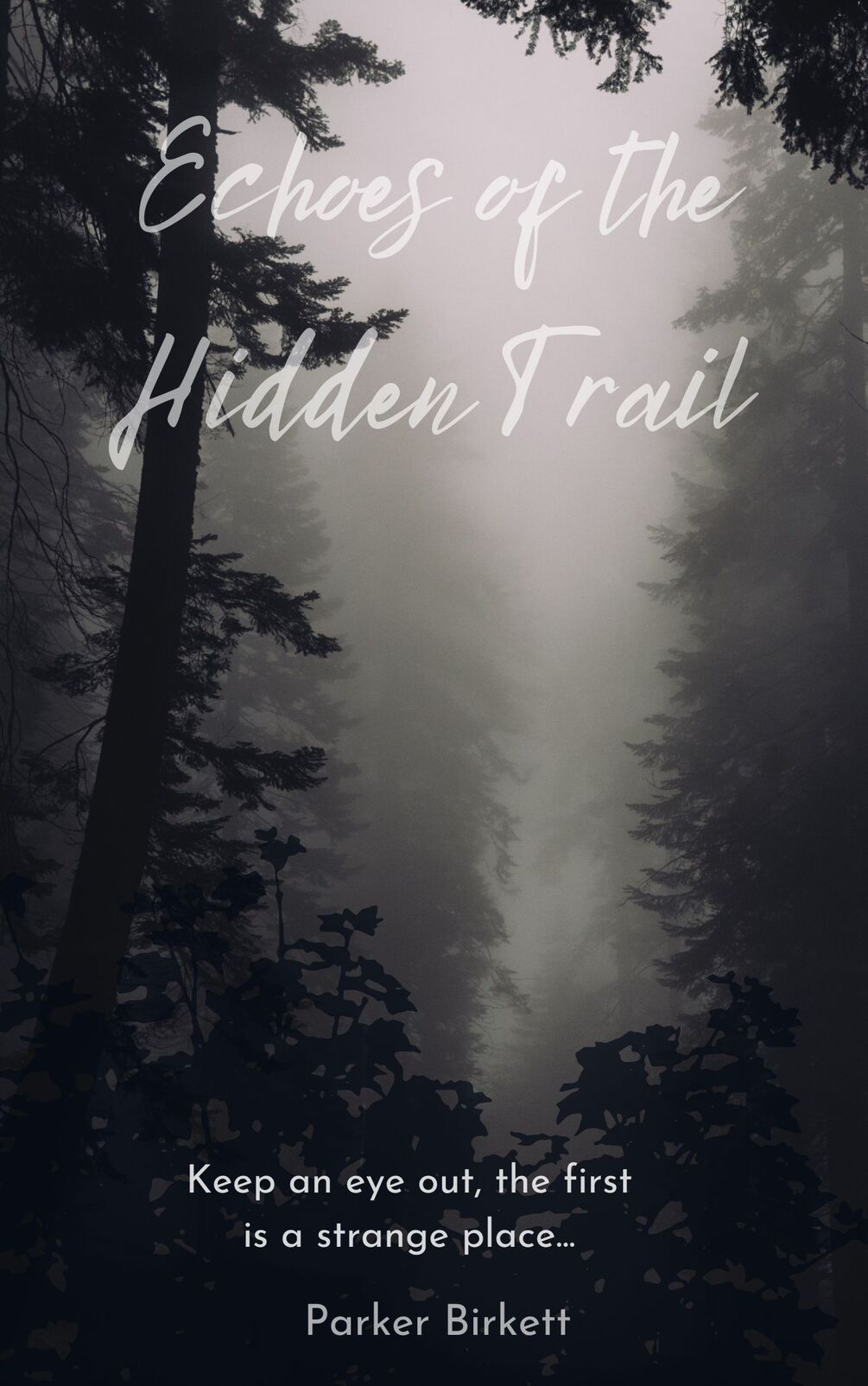 Echoes of the Hidden Trail