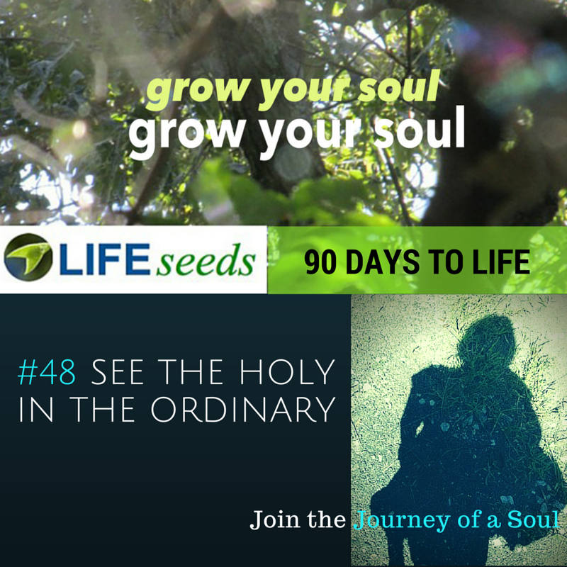 LIFE Seeds Packet #48