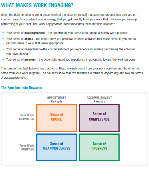 Work Engagement Profile - Interpretive Report + Coaching