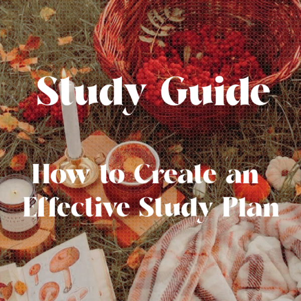 Complete all-inclusive study guide package during exam season!