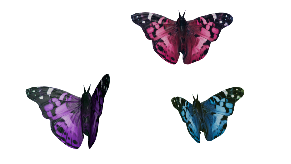 Butterfly 3d. obj, texture