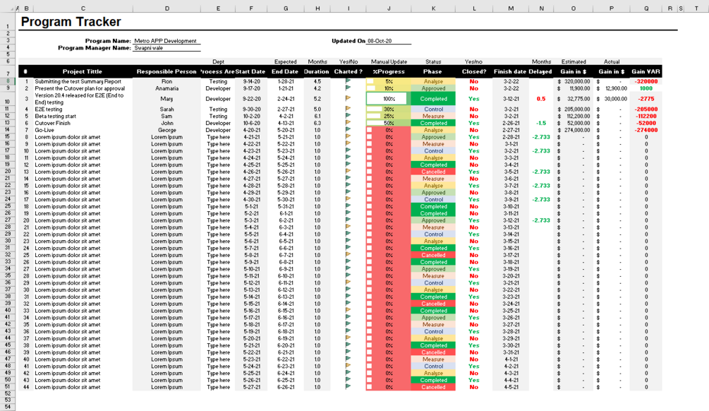 EXCEL - Program Tracker Template