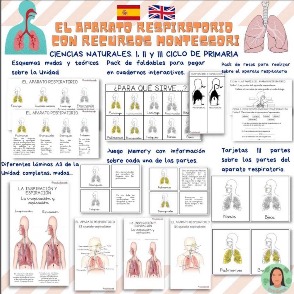 𝐏𝐚𝐜𝐤 𝐝𝐞 𝐫𝐞𝐜𝐮𝐫𝐬𝐨𝐬 𝐩𝐚𝐫𝐚 𝐭𝐫𝐚𝐛𝐚𝐣𝐚𝐫 𝐞𝐥 𝐚𝐩𝐚𝐫𝐚𝐭𝐨 𝐫𝐞𝐬𝐩𝐢𝐫𝐚𝐭𝐨𝐫𝐢𝐨 𝐚 𝐭𝐫𝐚𝐯é𝐬 𝐝𝐞 ...