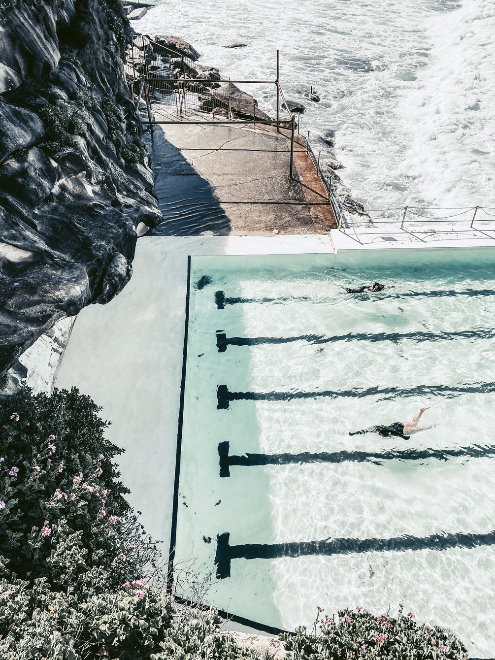 Bondi Icebergs Pool Print