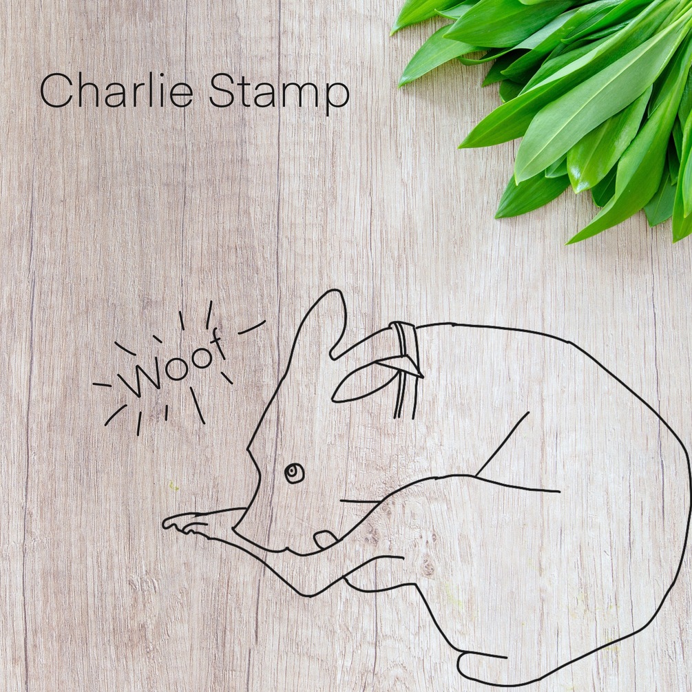 Charlie Stamp