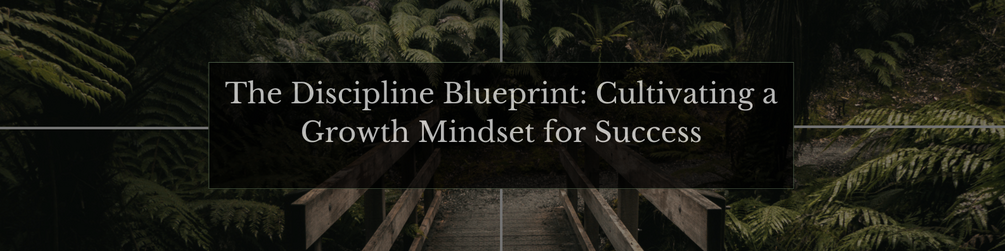 The Discipline Blueprint: Cultivating a Growth Mindset for Success