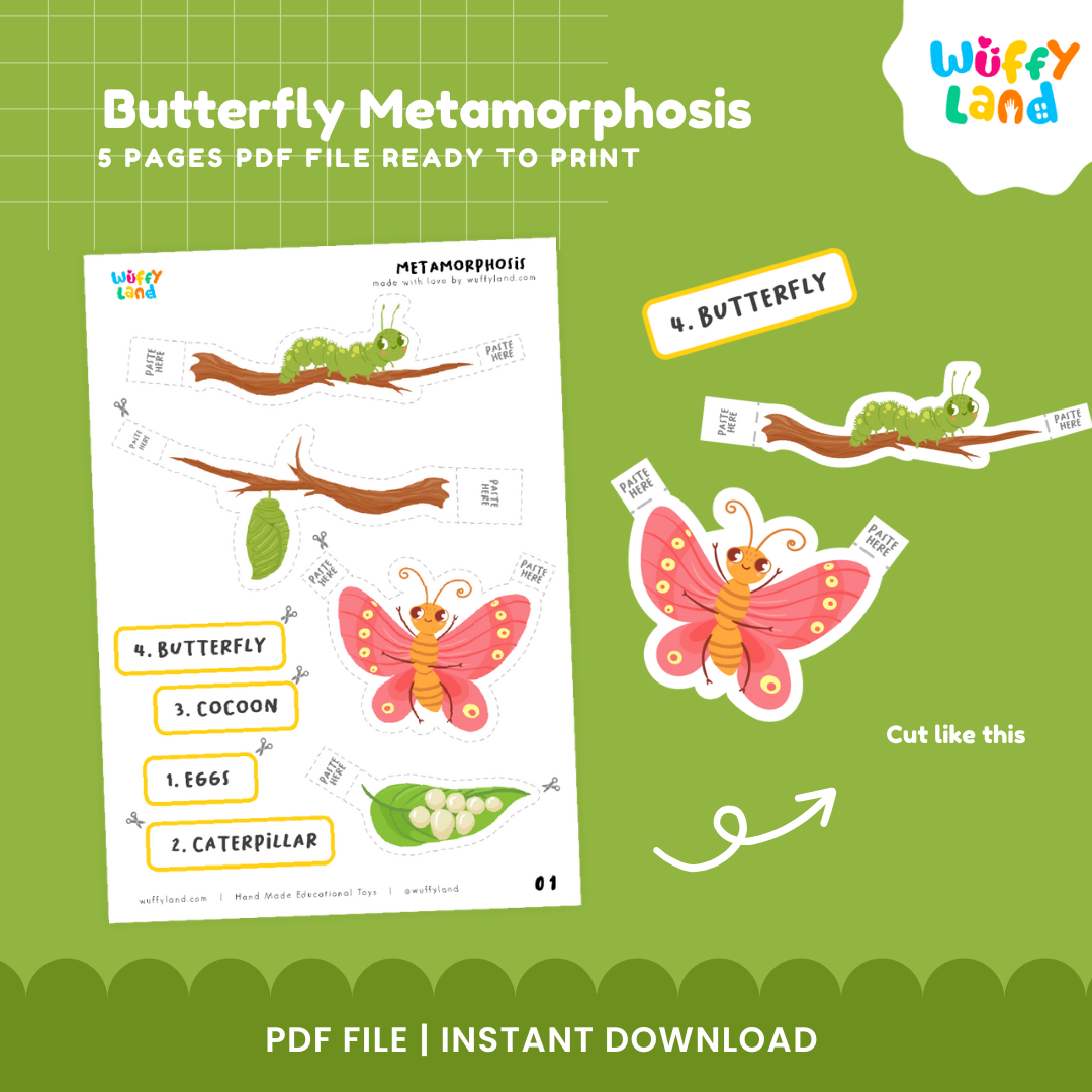 Butterfly Metamorphosis, Crafting for Preschool and Homeschool - Cut ...