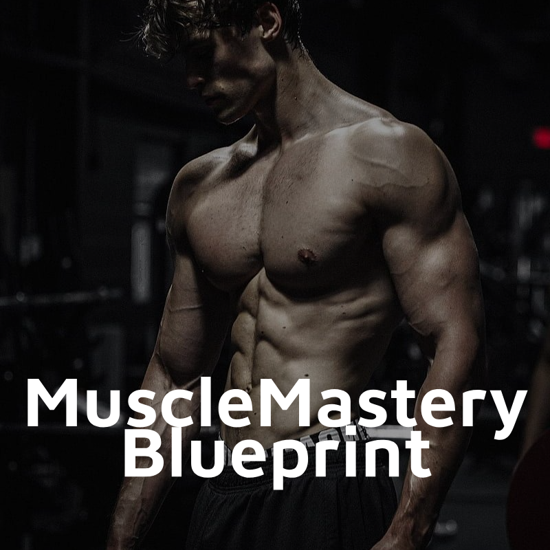 MUSCLE MASTERY / The Ultimate Beginner’s Guide to Building Muscle and ...