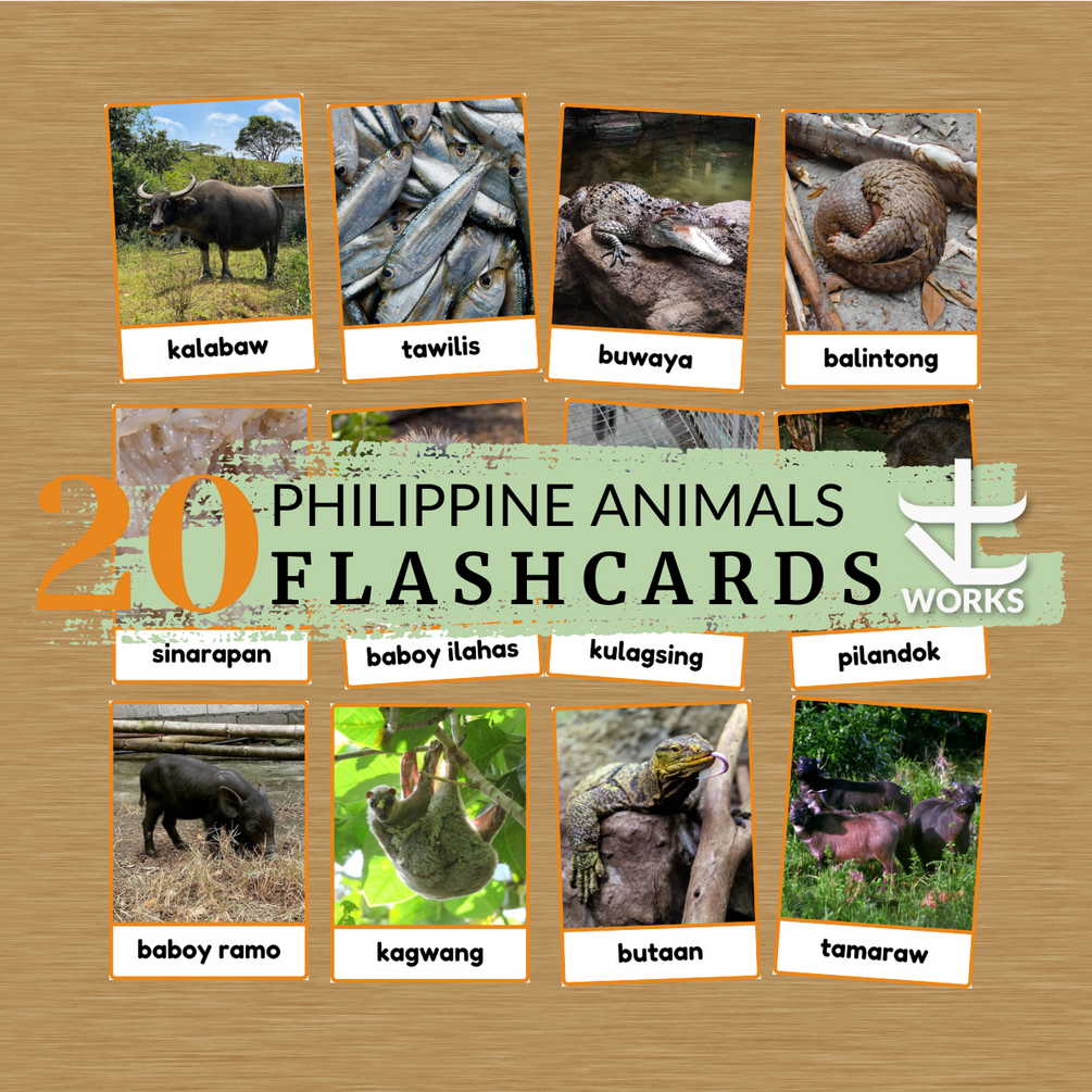 Philippine Animals Flashcards