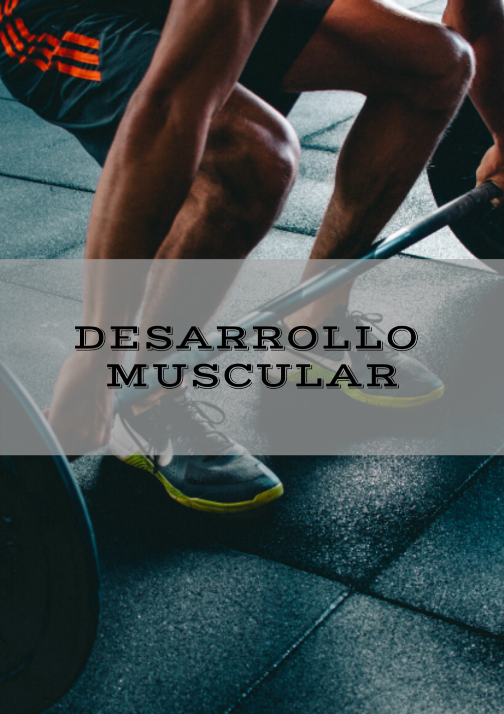 DESARROLLO MUSCULAR