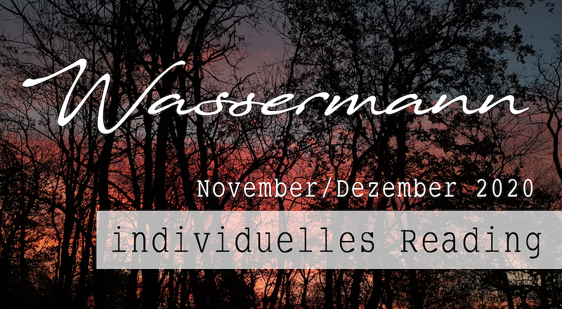 WASSERMANN Extended Seelenpartner-Union!