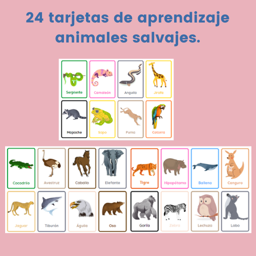 24 tarjetas de animales salvajes