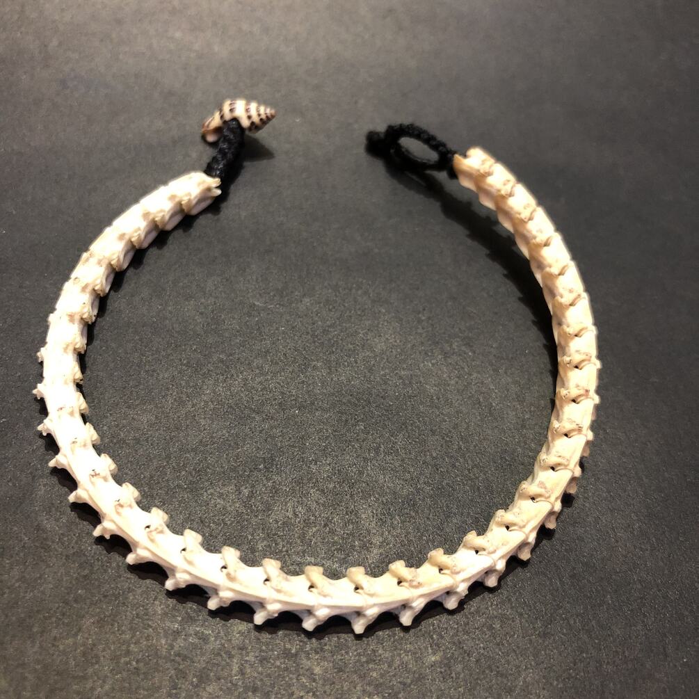 Bone Vertebrae Bracelet