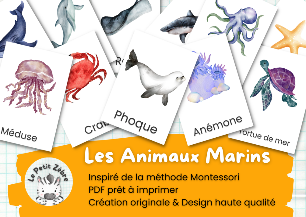 22 CARTES EDUCATIVES ANIMAUX MARINS