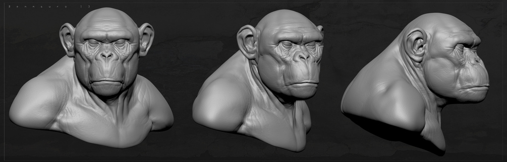 02 Primate Anatomy - Sculpting the Chimpanzee