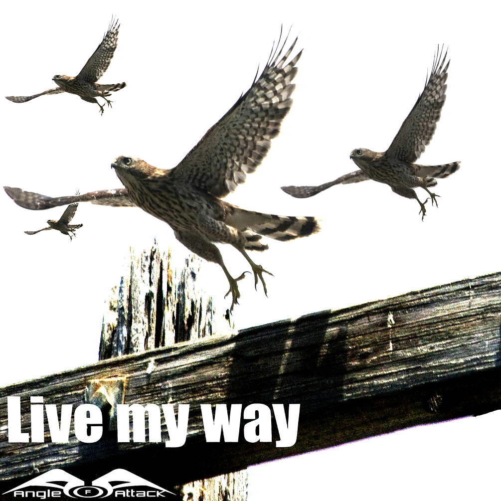 LIVE MY WAY - ALBUM